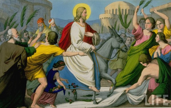 Did Christ Ride 2 Donkeys or 1 Donkey on Palm Sunday (You may be ...