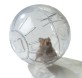 Get Off the Spiritual Hamster Wheel (18 Promises from the Bible ...