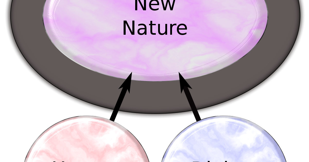 125: Does Christ have 1 or 2 Natures? Heretic Eutyches and the ...